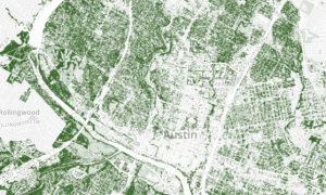 The Role of Maps in Making Cities Green | TechChange | The Institute ...